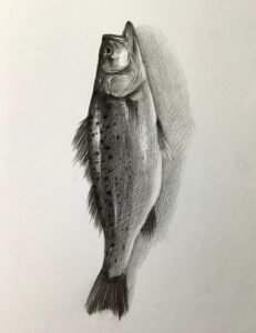 Top 7 tips to master how to draw a bass like a pro