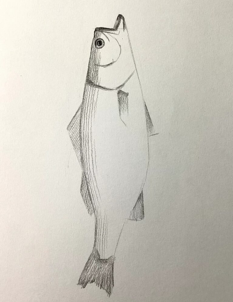 Top 7 tips to master how to draw a bass like a pro