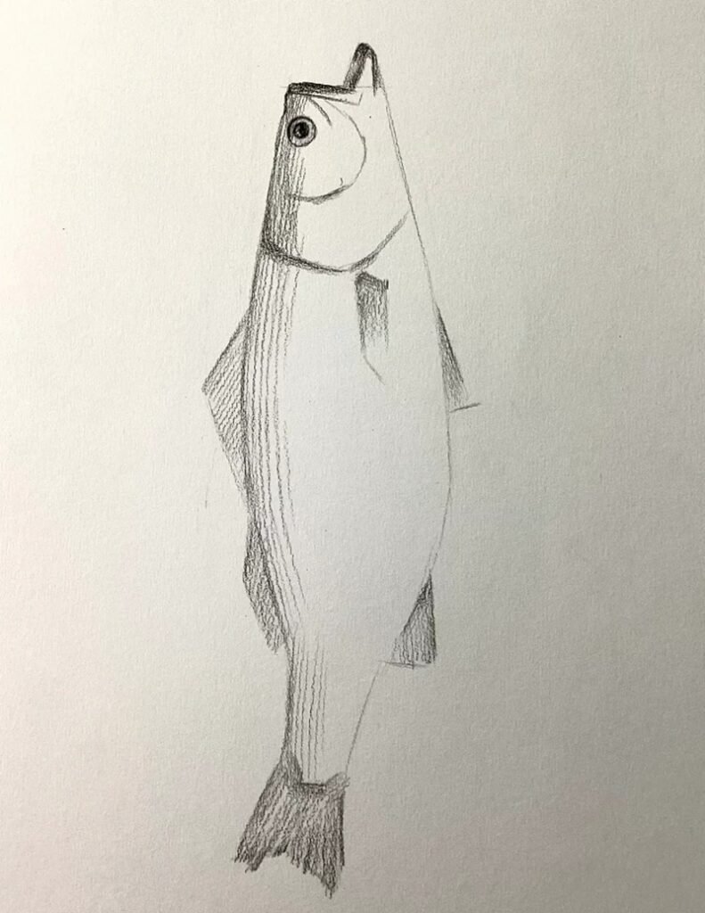 Top 7 tips to master how to draw a bass like a pro