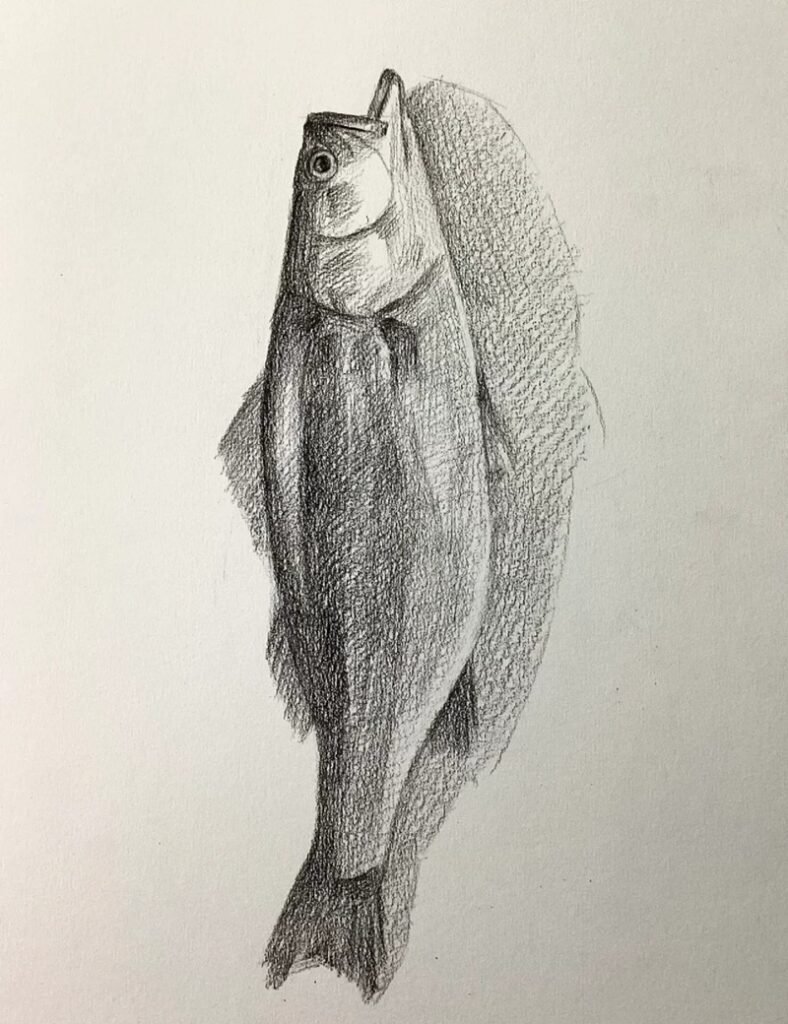 Top 7 tips to master how to draw a bass like a pro