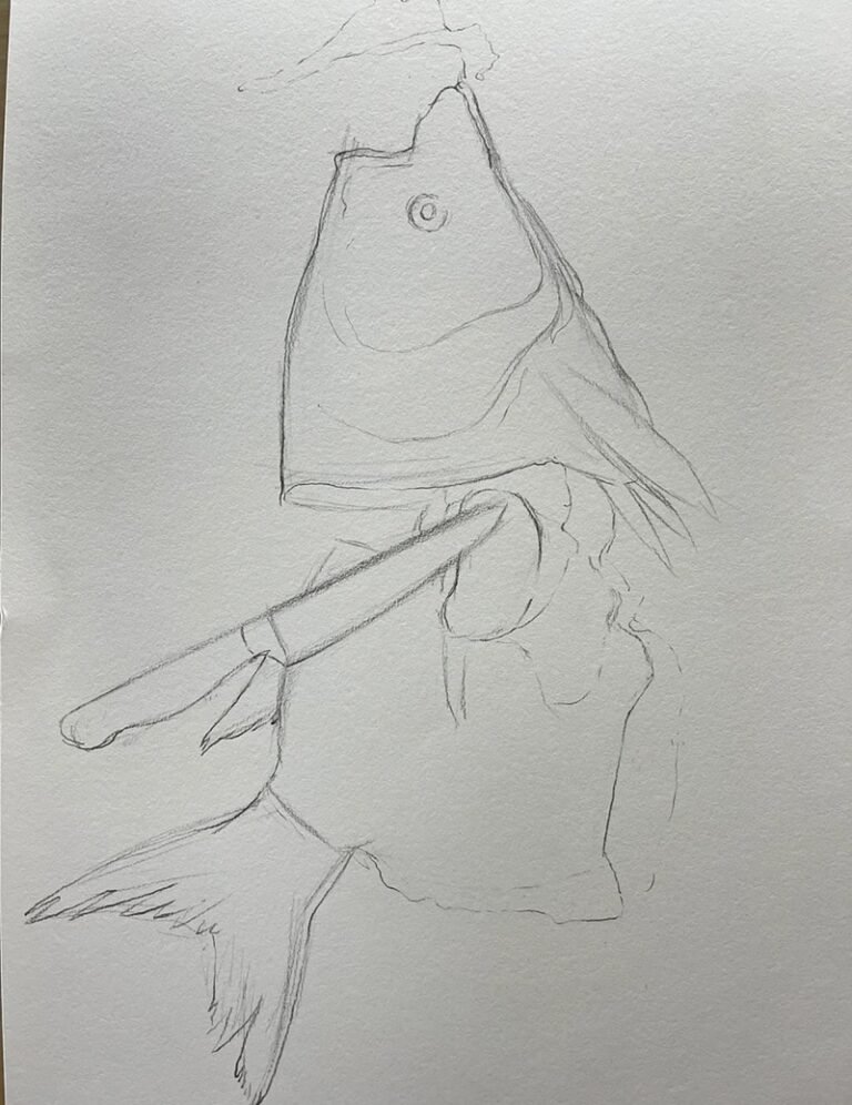 Top 7 tips to master how to draw a bass like a pro