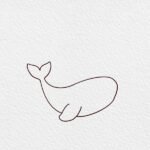 5+ easy steps on how to draw a blue whale for beginners