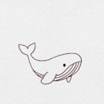 5+ easy steps on how to draw a blue whale for beginners