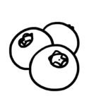 Top 5+ tips on how to draw a blueberry like a pro