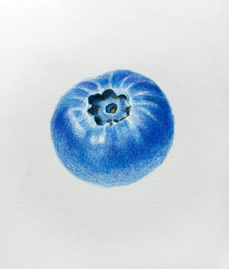 Top 5+ tips on how to draw a blueberry like a pro