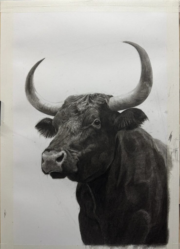 Top 7 tips to master how to draw a Buffalo like a pro