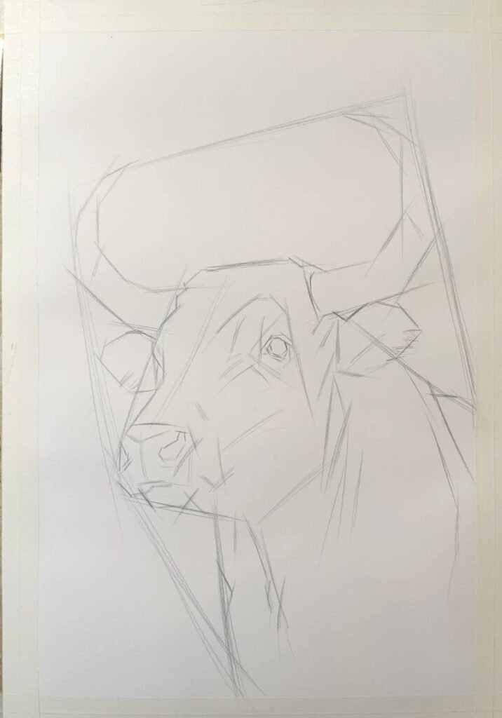 Top 7 tips to master how to draw a Buffalo like a pro