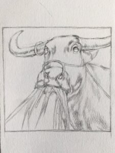 Top 7 tips to master how to draw a Buffalo like a pro
