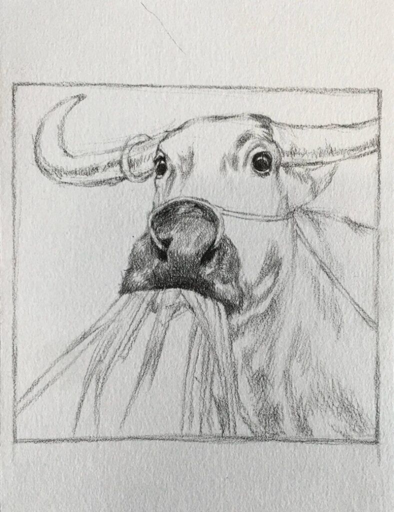 Top 7 tips to master how to draw a Buffalo like a pro