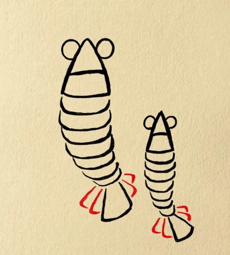 How to draw a lobster in 9+ simple and fun sketching steps