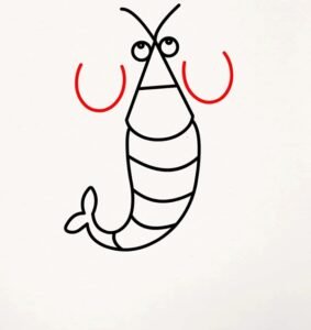 Top 8 pro tips on how to draw a shrimp with style