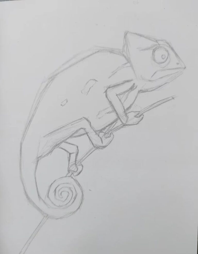6+ simple steps on how to draw a Chameleon like a pro