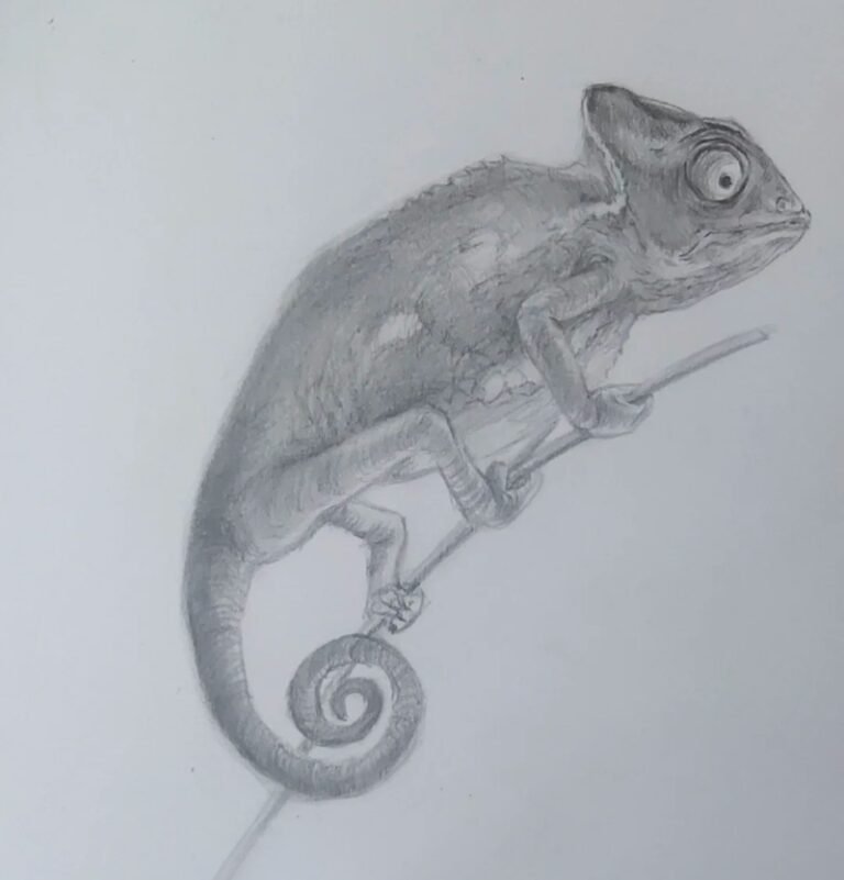 6+ simple steps on how to draw a Chameleon like a pro