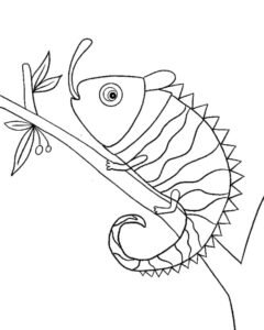6+ simple steps on how to draw a Chameleon like a pro