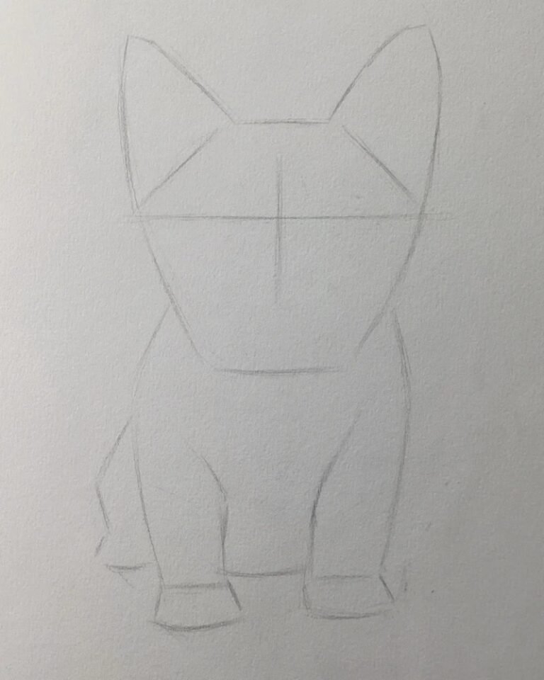 How to draw a corgi in 6 simple and cute cartoon steps