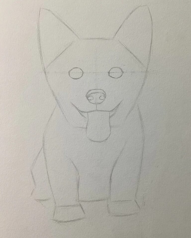 How to draw a corgi in 6 simple and cute cartoon steps