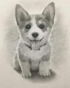 How to draw a corgi in 6 simple and cute cartoon steps