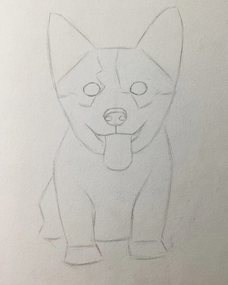 How to draw a corgi in 6 simple and cute cartoon steps