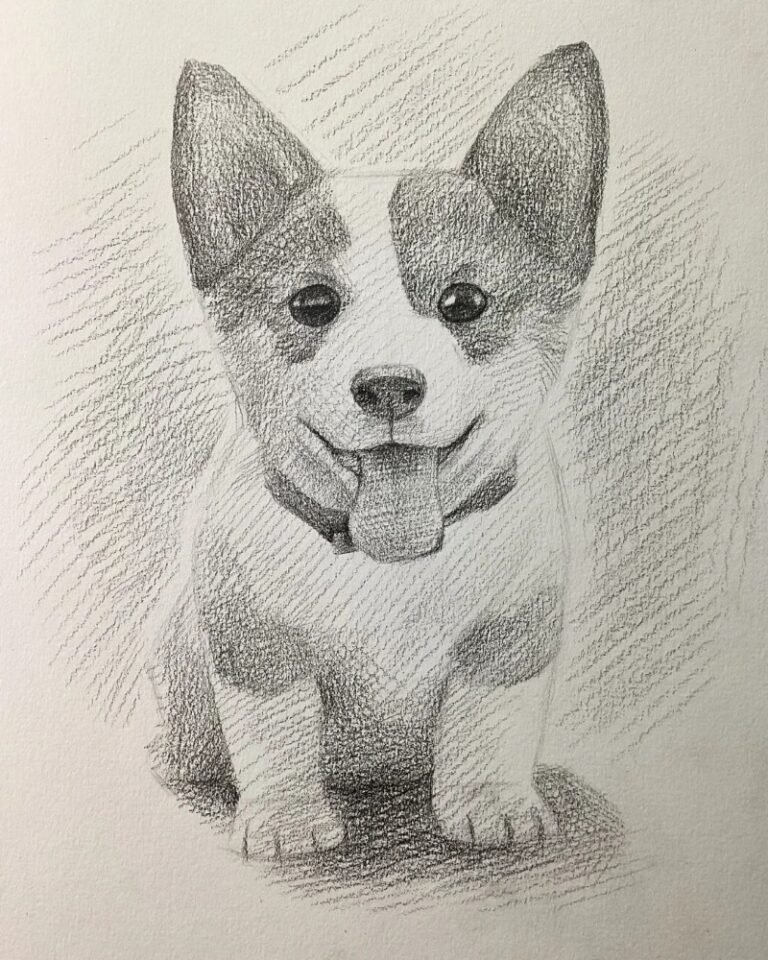 How to draw a corgi in 6 simple and cute cartoon steps
