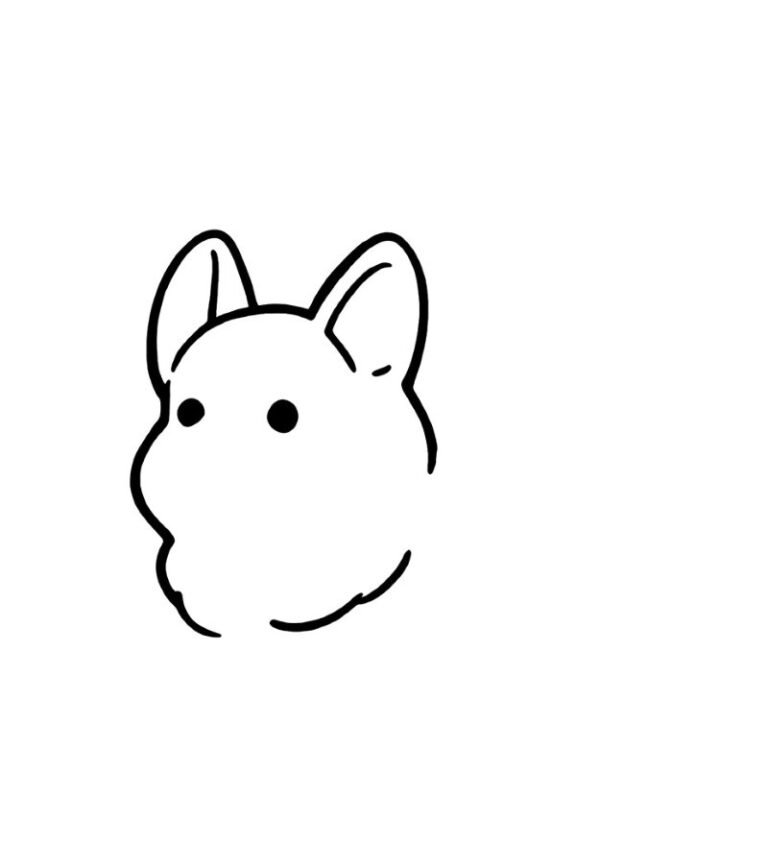 How to draw a corgi in 6 simple and cute cartoon steps