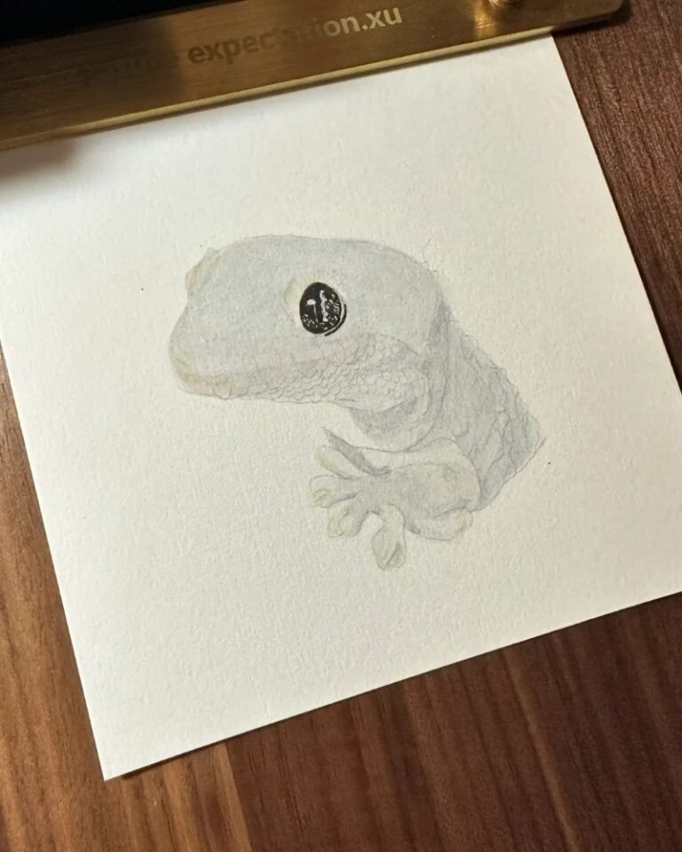 7+ simple steps on how to draw a Lizard for beginners