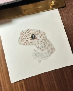 7+ simple steps on how to draw a Lizard for beginners