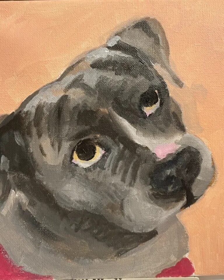 How to draw a Pug in 6 Simple and cute steps