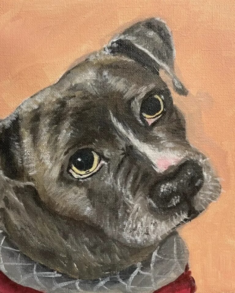How to draw a Pug in 6 Simple and cute steps