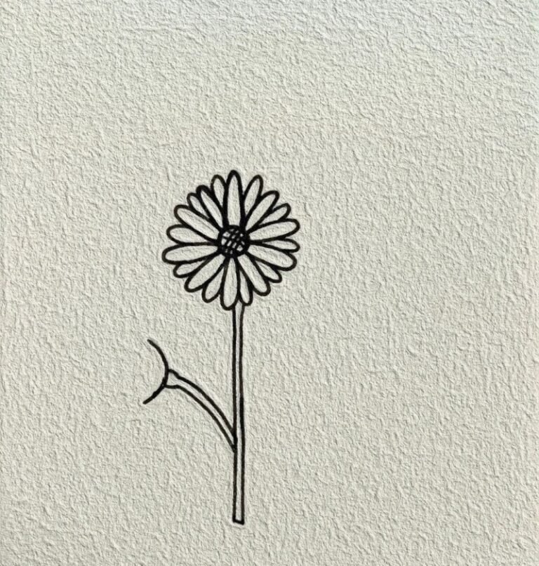8+ easy steps on how to draw a daisy like a pro