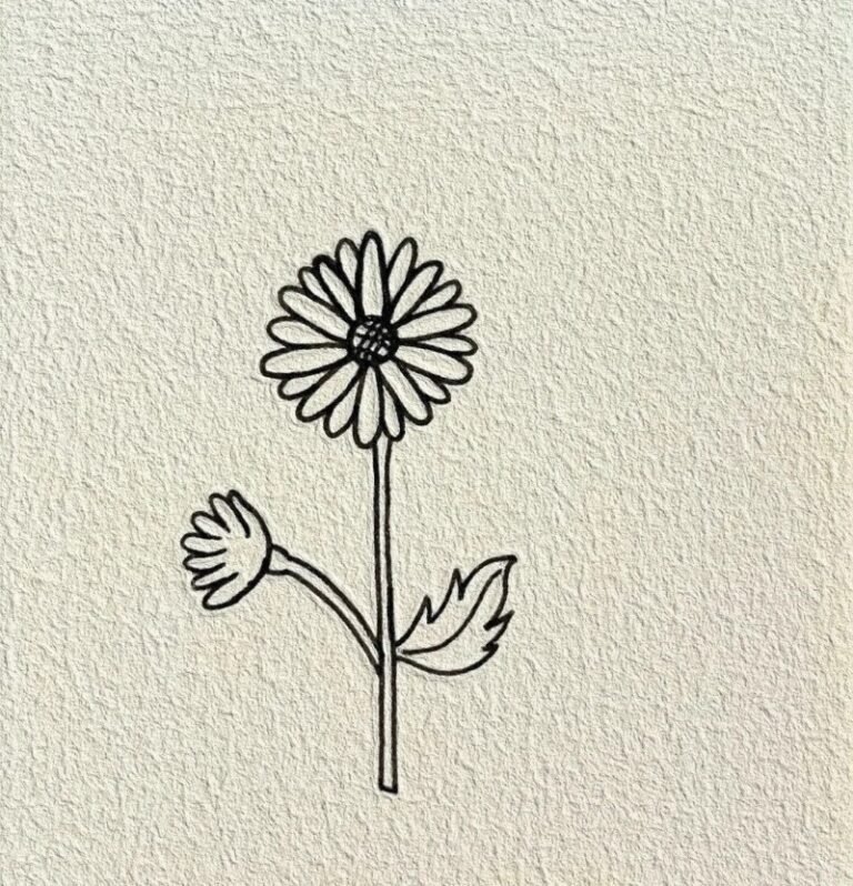 8+ easy steps on how to draw a daisy like a pro
