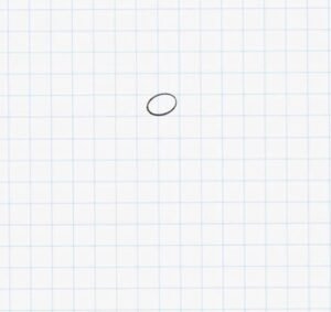 8+ easy steps on how to draw a daisy like a pro