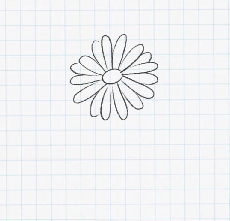 8+ easy steps on how to draw a daisy like a pro