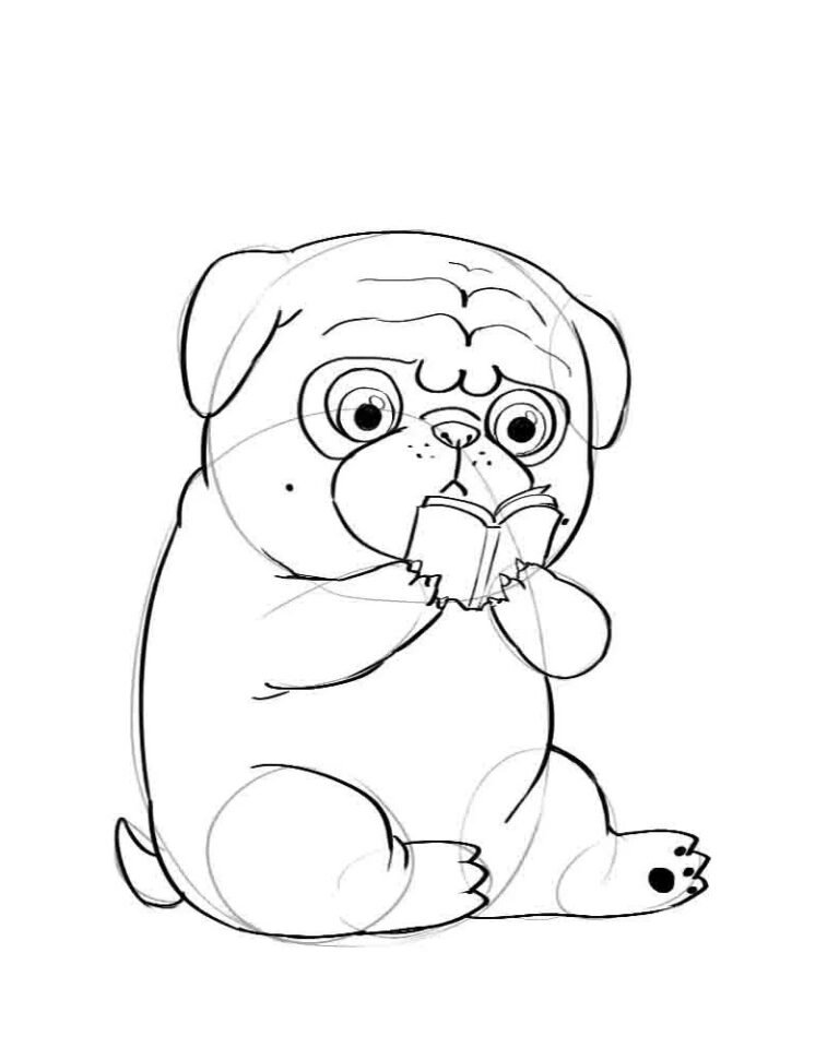 How to draw a Pug in 6 Simple and cute steps