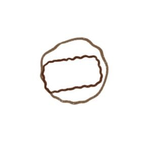 How to draw a cookie like a pro in 8+ simple steps