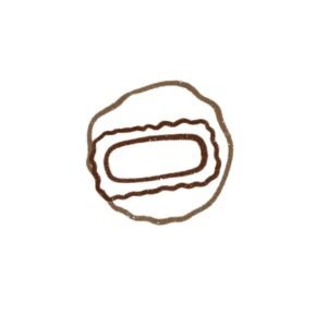 How to draw a cookie like a pro in 8+ simple steps