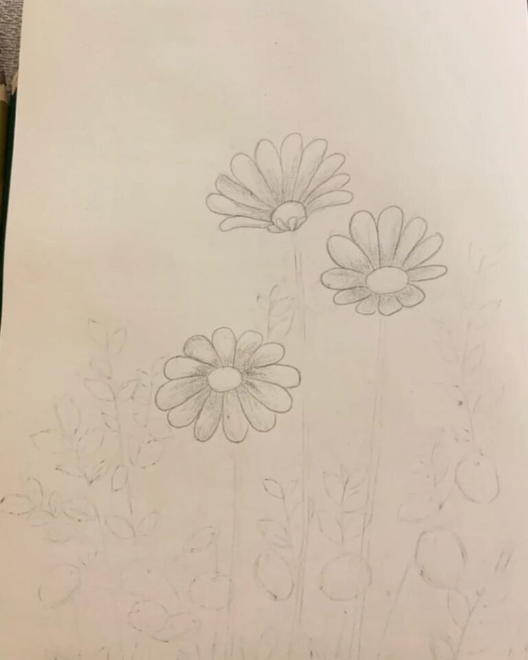 8+ easy steps on how to draw a daisy like a pro