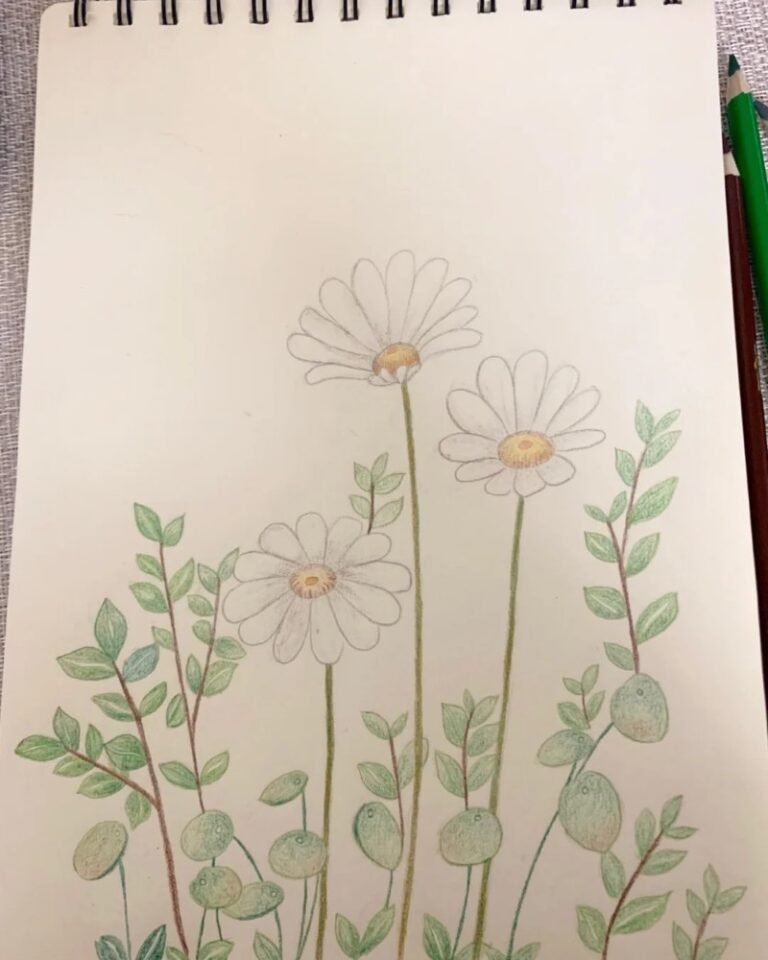 8+ easy steps on how to draw a daisy like a pro