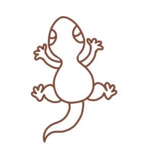 7+ simple steps on how to draw a Lizard for beginners