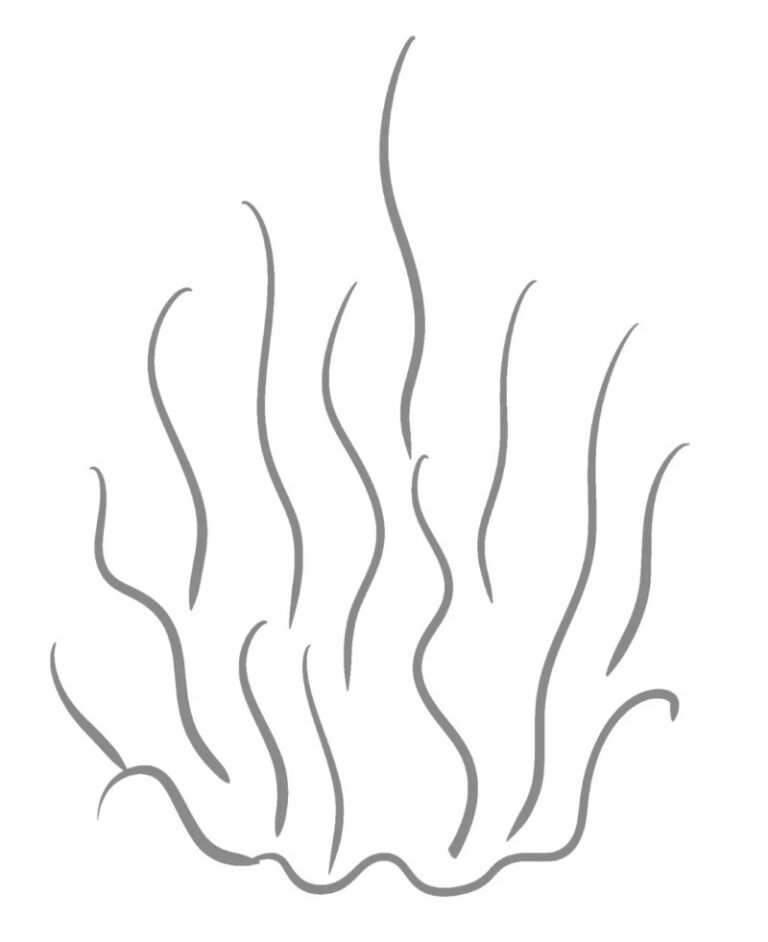 How to draw a flame in 5 easy steps for beginners