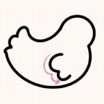 How to draw a hen in 7 simple and fun sketching steps