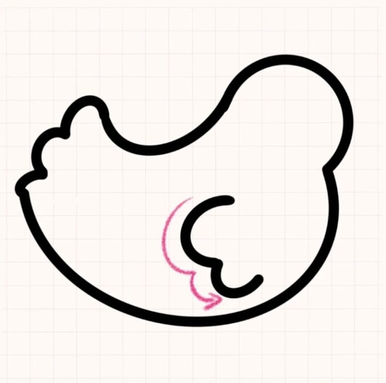 How to draw a hen in 7 simple and fun sketching steps