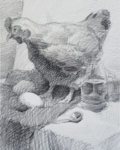 How to draw a hen in 7 simple and fun sketching steps