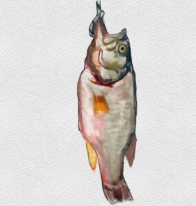 Top 7 tips to master how to draw a bass like a pro