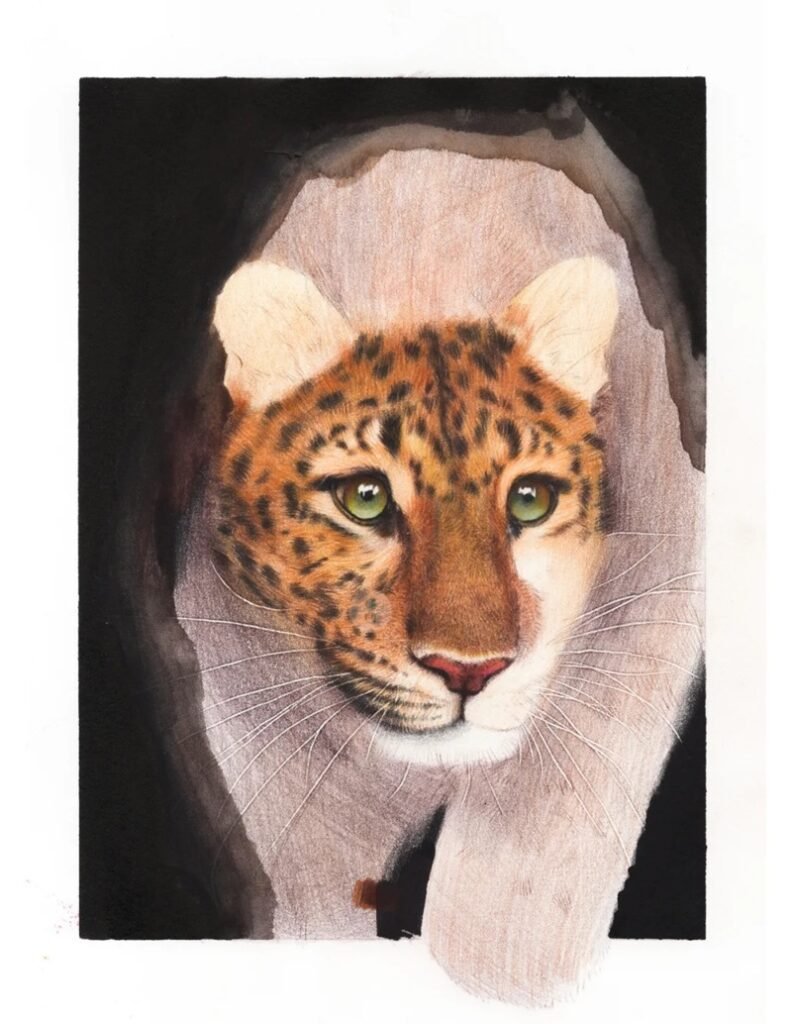 5+ beginner hacks to nail how to draw a Leopard