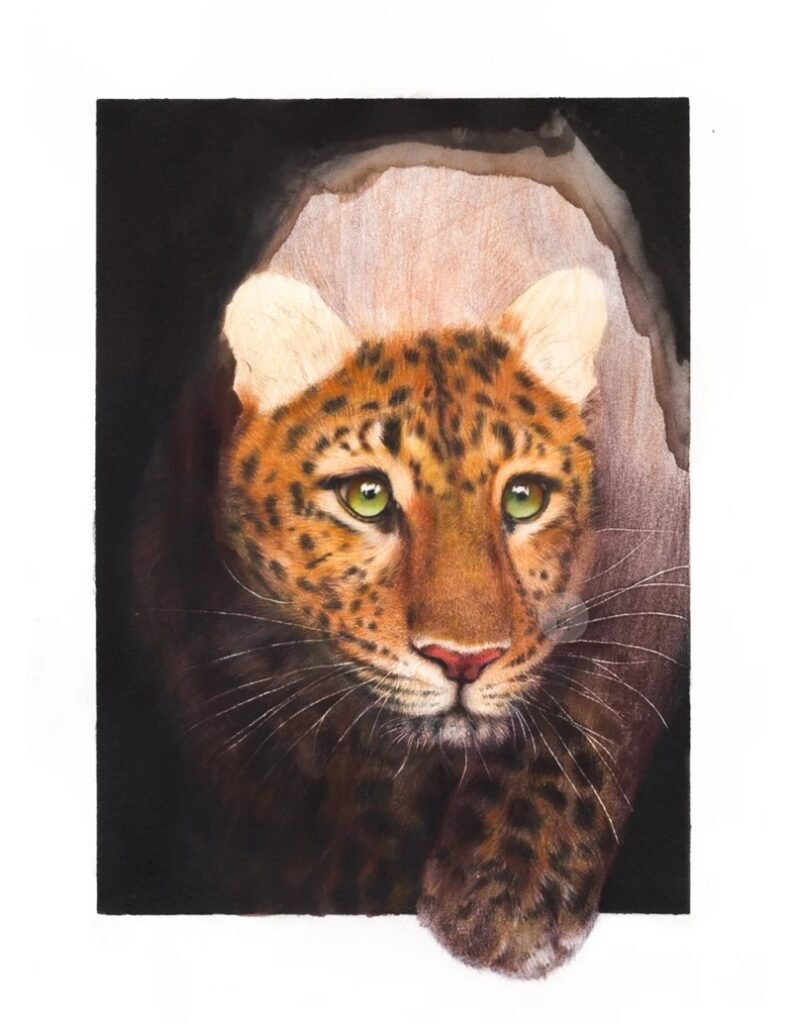5+ beginner hacks to nail how to draw a Leopard