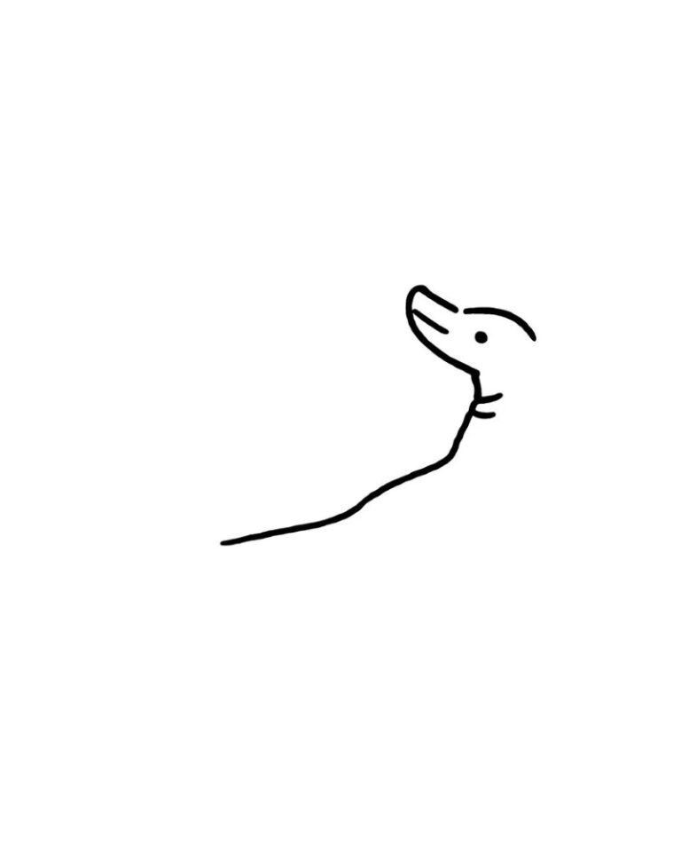 7+ simple steps on how to draw a Lizard for beginners