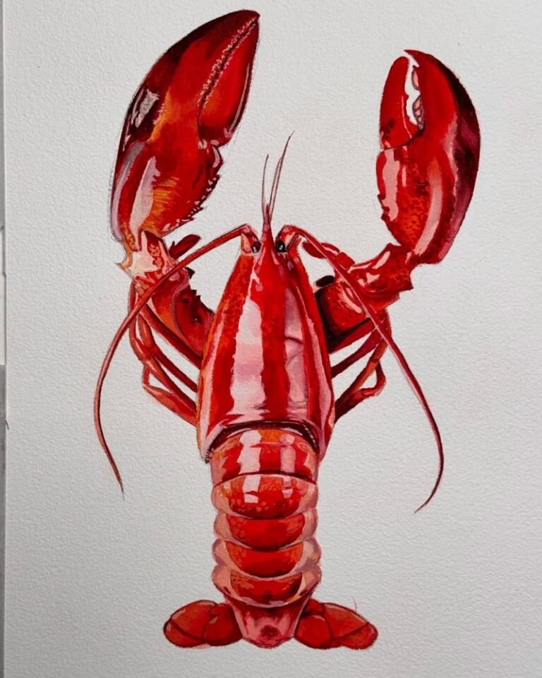 How to draw a lobster in 9+ simple and fun sketching steps