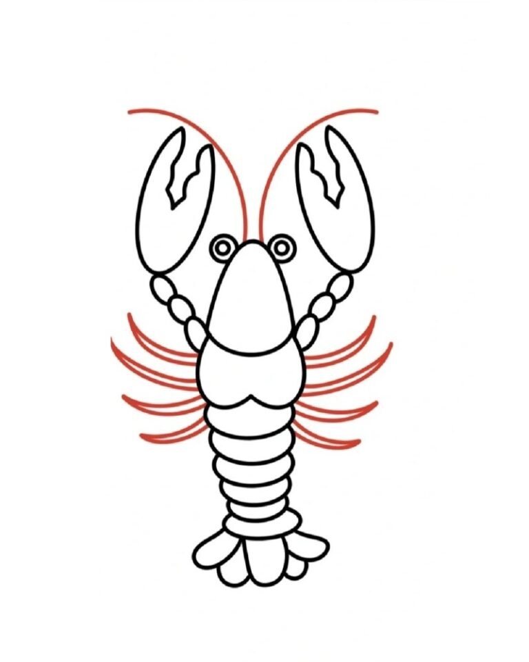 How to draw a lobster in 9+ simple and fun sketching steps