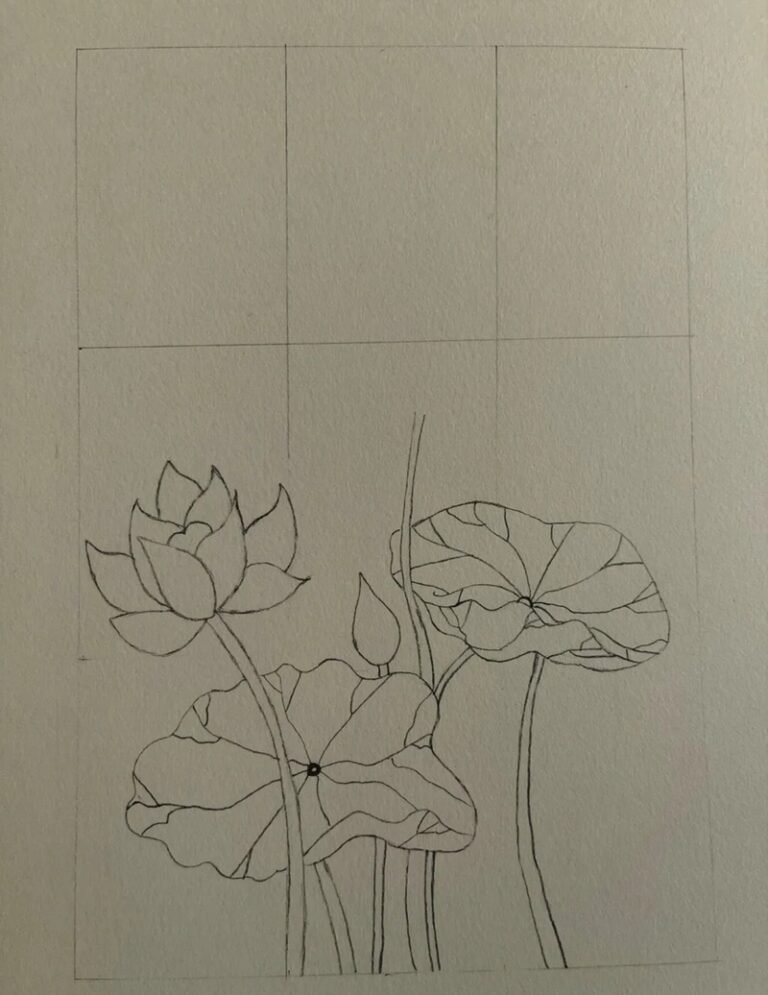 5+ easy steps on how to draw a lotus flower for beginners