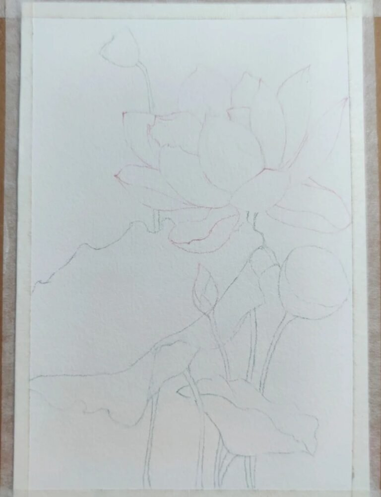 5+ easy steps on how to draw a lotus flower for beginners